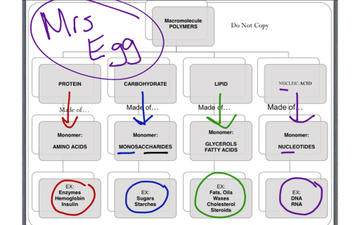 Video Lesson: Organic Molecules | Educreations