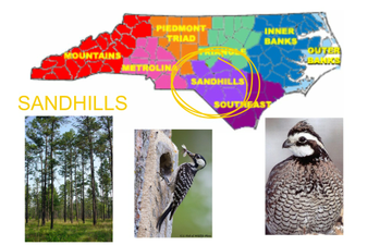 North Carolina Ecosystems | Educreations