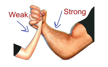 Physical Appearance Strong/weak | Educreations