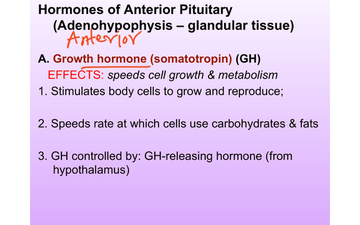 Ch 16 Endocrine System 1 | Educreations