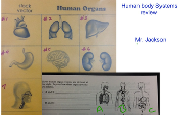 Human Body System Review | Educreations
