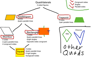 Quadrilateral Family Tree | Educreations