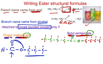 #45 Drawing Ester Structural Formulas | Educreations