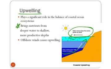 Open Ocean Ecosystems | Educreations