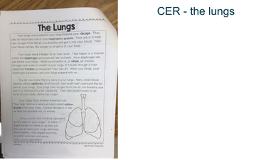 CER - The Lungs | Educreations