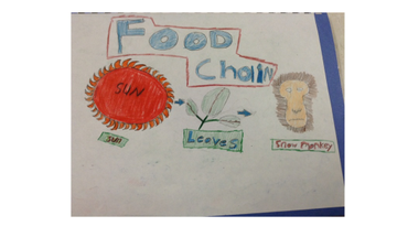 Japan Food Chain | Educreations