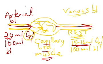 A-V O2 Difference | Educreations
