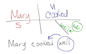 Vt and vi verbs & direct objects | Educreations