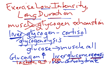 Hormone Regulation Of Carbohydrate Metabolism During Exercise ...