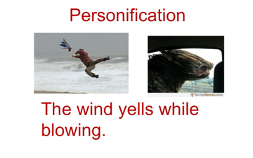 Fig Lang | Educreations