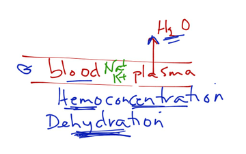 Hemodiluted Vs Hemoconcentrated Blood | Educreations