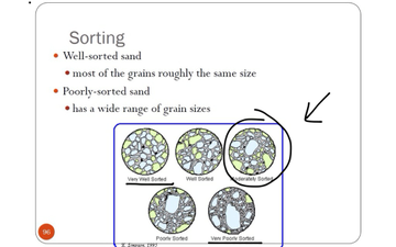 Sand Video Notes | Educreations