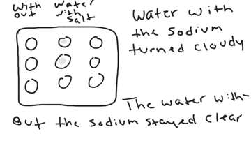 Salt Diffusion 2nd Hour | Educreations