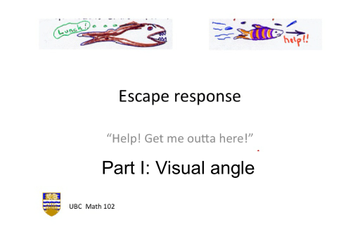 Visual angles | Educreations