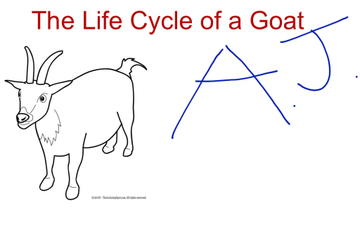 The Life Cycle of a Goat | Educreations