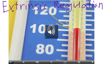 Auto Regulation Vs. Extrinsic Regulation | Educreations