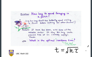 Optimal foraging | Educreations