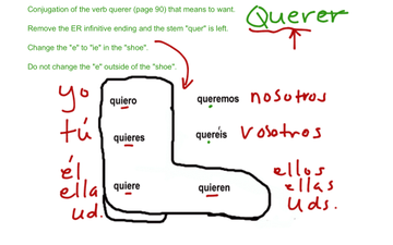 Querer In Present | Educreations