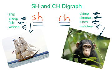 SH and CH Digraph Mini Lesson | Educreations