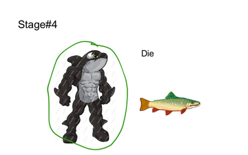 Life Cycle Of A Rainbow Trout | Educreations