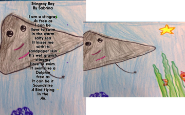 Sabrina Best Poem Safradin | Educreations