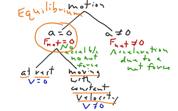 Equilibrium Graphic Organizer notes | Educreations