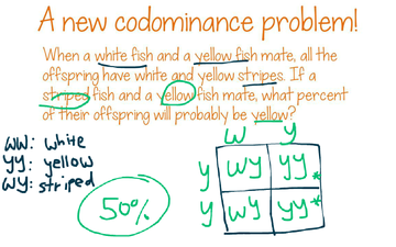 Fish Codominance Problem | Educreations